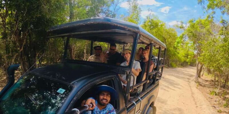 Half-Day Wild Safari in Yala National Park - Why This Tour Is Such a Good Deal