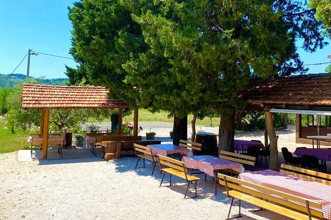 Half-Day Wine and Food Tasting From Dubrovnik - Location and Logistics