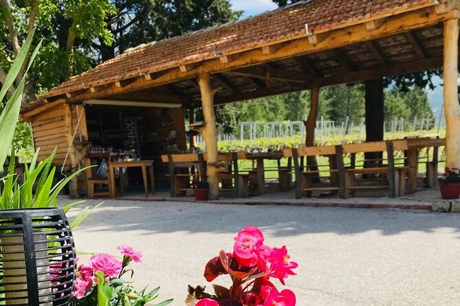 Half-Day Wine and Food Tasting From Dubrovnik - Booking and Accessibility