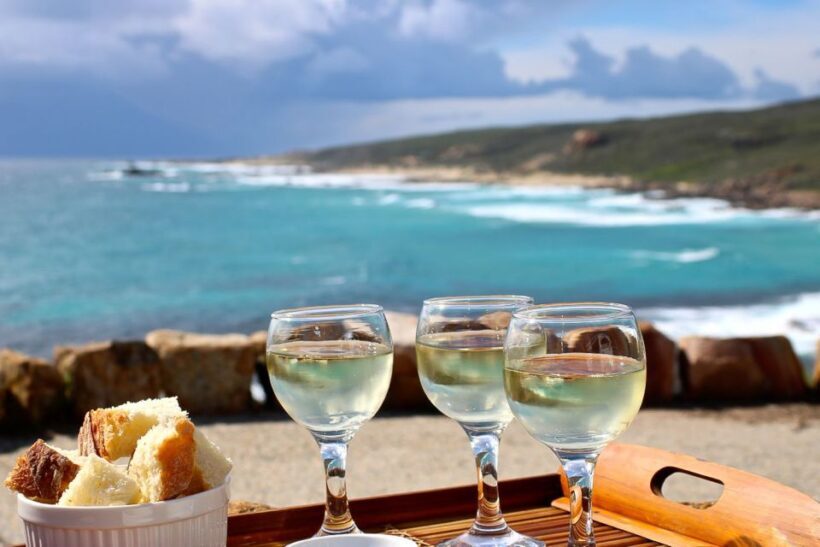 Half day Wine and Sights Discovery Tour Busselton - An Introduction to the Experience