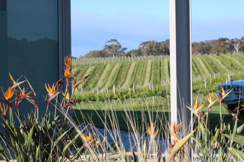 Half day Wine and Sights Discovery Tour Busselton - Transport, Group Size, and Value