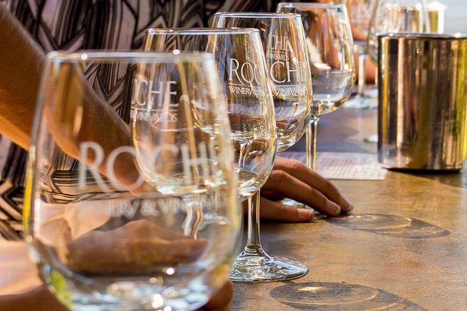 Half-Day Wine Country Tour from San Francisco - Transportation, Group Size, and Comfort