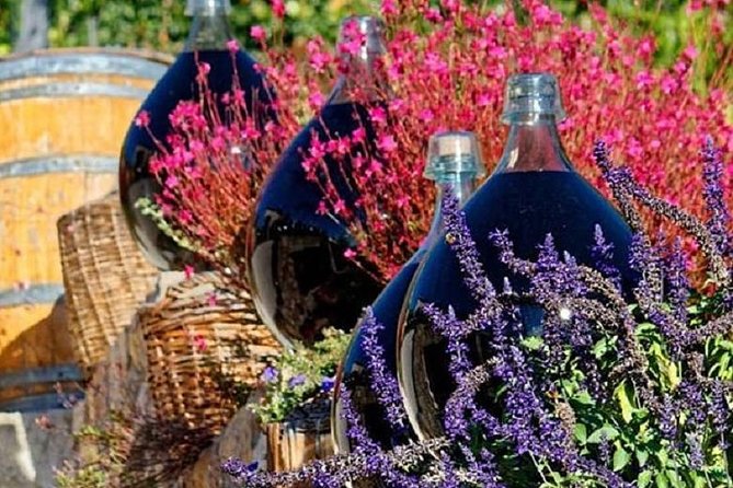 Half-Day Wine Tasting and Saint Paul De Vence Tour From Nice - Transportation Details