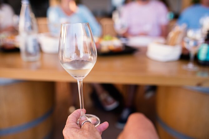 Half Day Wine Tasting With Dinner in Kos - Guide and Service