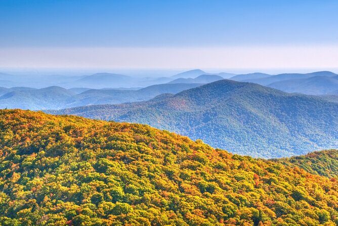 Half-Day Wine Tastings in the North Georgia Mountains - Key Points