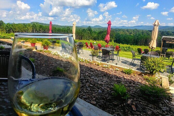 Half-Day Wine Tastings in the North Georgia Mountains - What You Can Expect at Each Stop