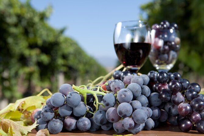 Half-Day Wine Tastings in the North Georgia Mountains - Reviews Snapshot: Authentic Voices