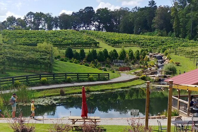 Half-Day Wine Tastings in the North Georgia Mountains - The Sum Up: Who Is This Tour For?