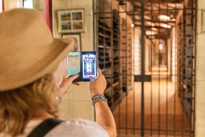 Half-Day Wine Tour Across Bordeaux'S Vineyards - Itinerary Highlights