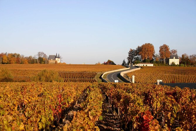 Half-Day Wine Tour Across Bordeaux'S Vineyards - Travel Comfort and Convenience