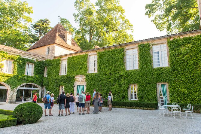 Half-Day Wine Tour Across Bordeaux'S Vineyards - Customer Experiences and Feedback