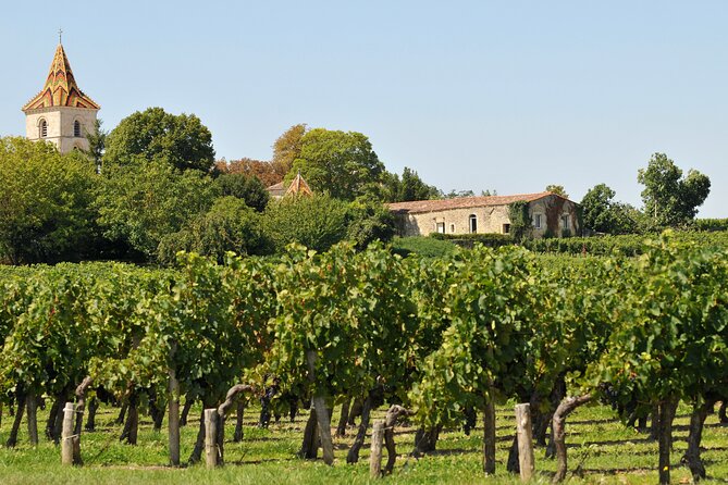 Half-Day Wine Tour Across Bordeaux'S Vineyards - Booking and Cancellation Policies