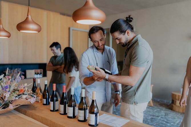 Half Day Wine Tour Around Evora - Key Points