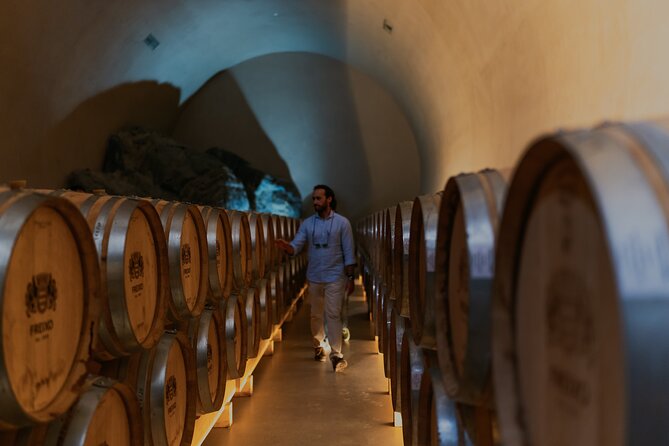 Half Day Wine Tour Around Evora - Practical Aspects of the Tour