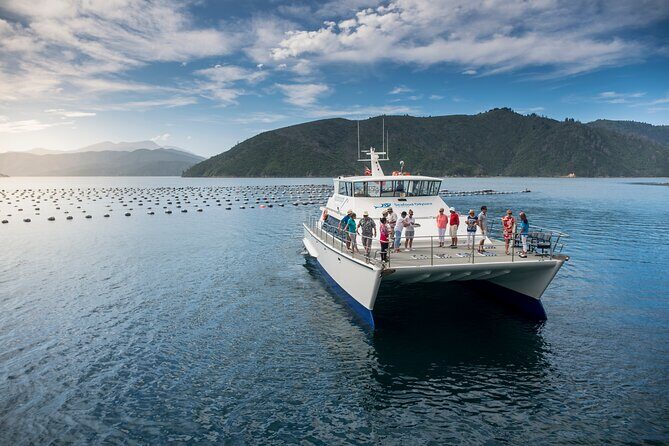 Half-Day Wine Tour from Picton - Additional Notes
