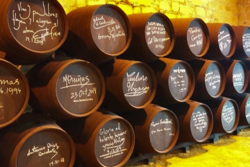 Half-Day Wine Tour in Andalusia in small group - Key Points