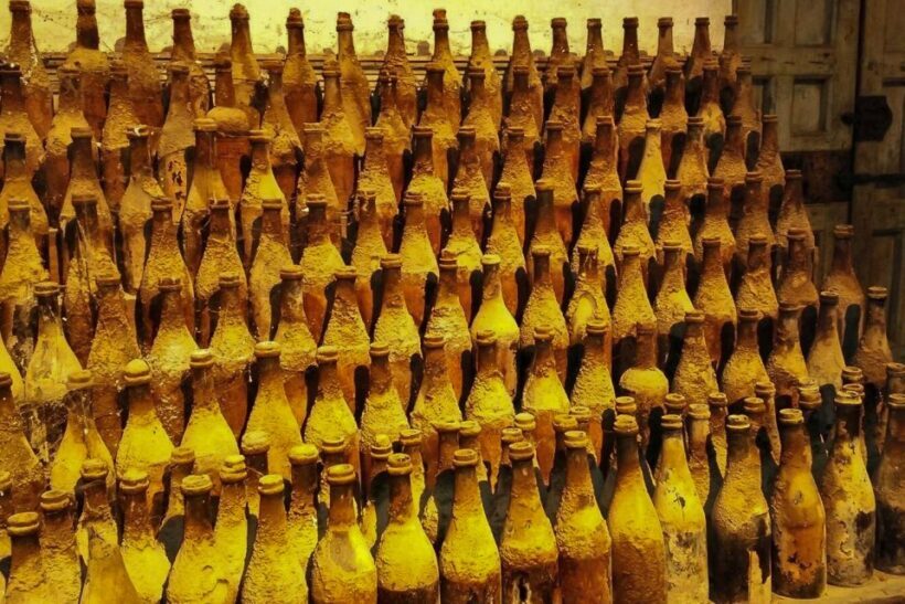 Half-Day Wine Tour in Andalusia in small group - What to Expect from This Tour