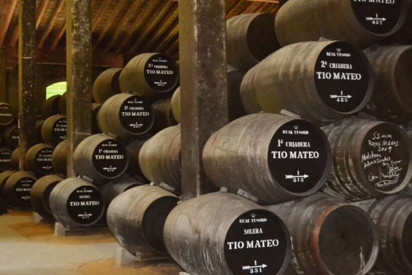 Half-Day Wine Tour in Andalusia in small group - The Value of This Experience