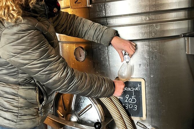 Half day Wine Tour in Côteaux Aix from Aix en Provence - The Price: Is It Worth It?