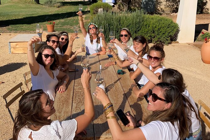 Half Day Wine Tour in Côtes De Provence Sainte-Victoire From Aix En Provence - What to Expect