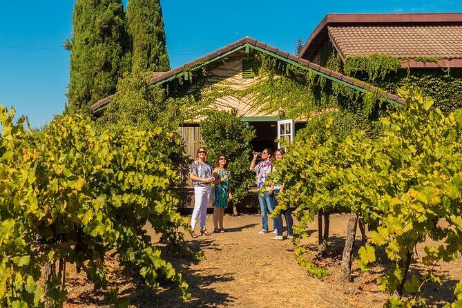 Half-Day Wine Tour Plus Hop-On Hop-Off Bus Pass - FAQs