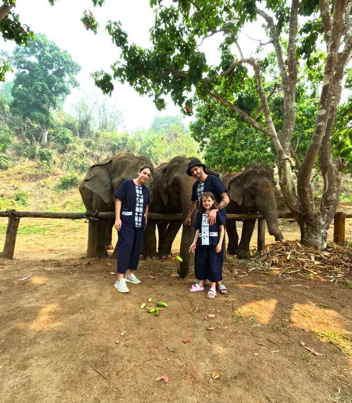 Half-day with CHIANGMAI ELEPHANT CARE program (12pm-6pm.) - Why This Tour Stands Out