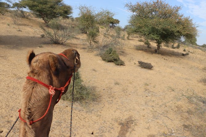 Half Day with Lunch - Final Thoughts: Who Would Love This Tour?