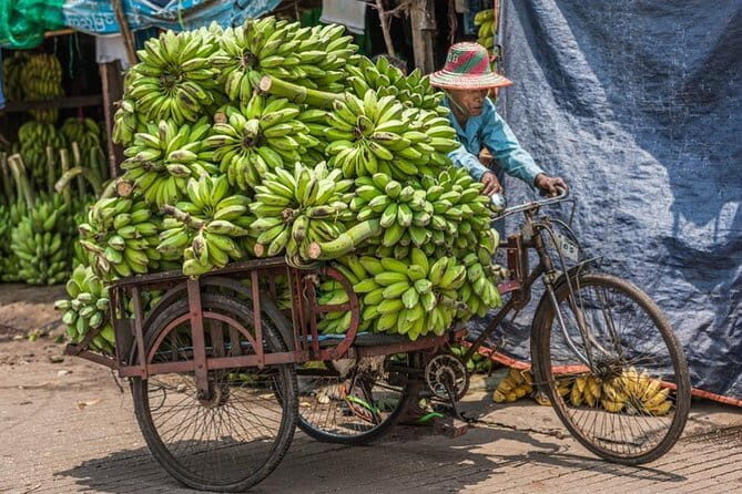 Half Day Yangon Local Adventure Tour - Key Points
