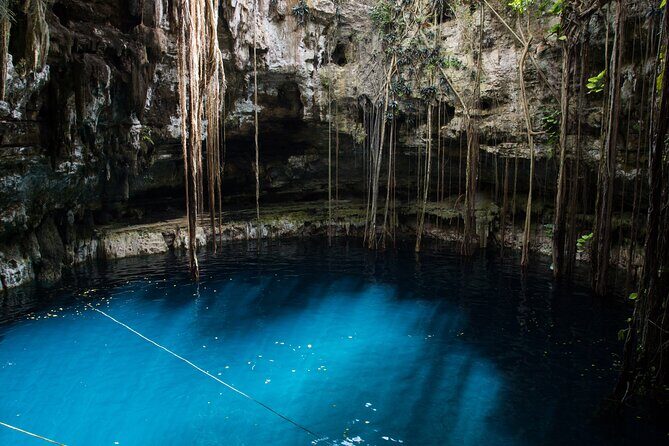 Half-Day Yucatan's Instagram Cenotes PRIVATE TOUR - A Review of the Half-Day Yucatáns Instagram Cenotes PRIVATE TOUR
