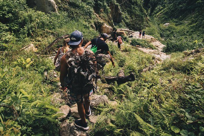 Half-Day Yunque Rainforest Waterslide & rope swing Guided Tour - Review Highlights from Participants