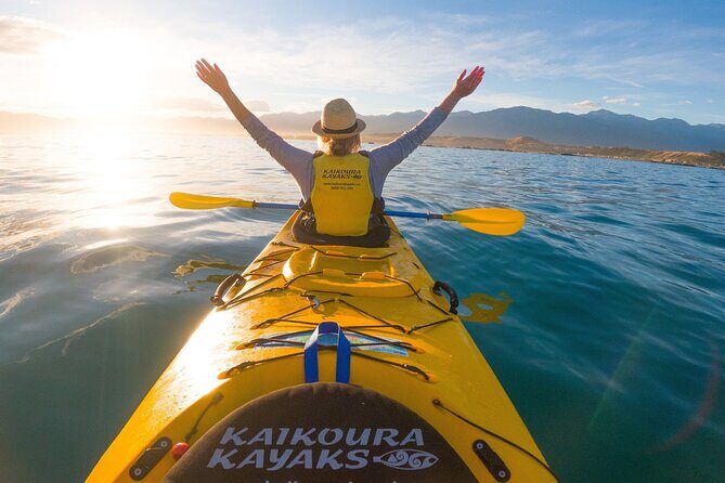 Half Day Zipline Adventure in Kaikoura - The Sum Up