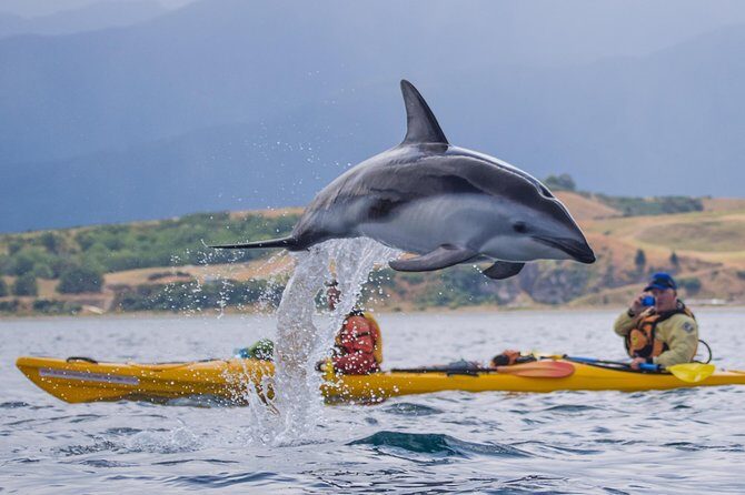 Half Day Zipline Adventure in Kaikoura - FAQ