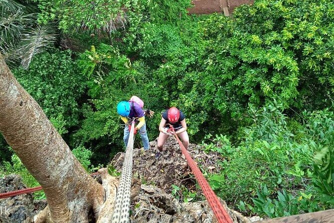Half Day Zipline and Rainforest Exploration in Krabi - Authentic Perspectives from Travelers