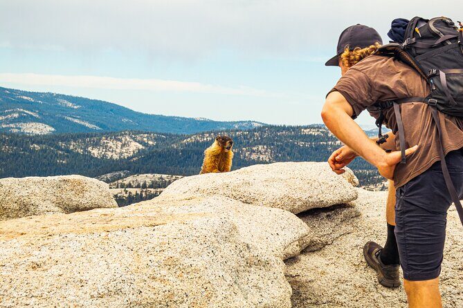 Half Dome Guided Ascent - Final Word