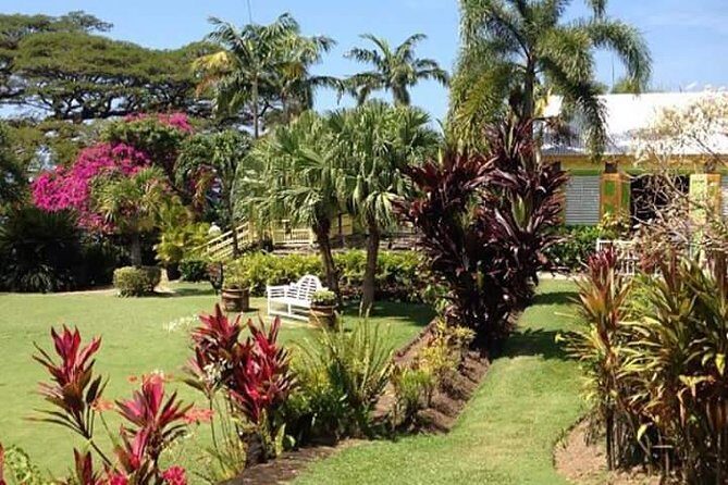 Half-Island Tour of St Kitts - An Introduction to the Tour Experience