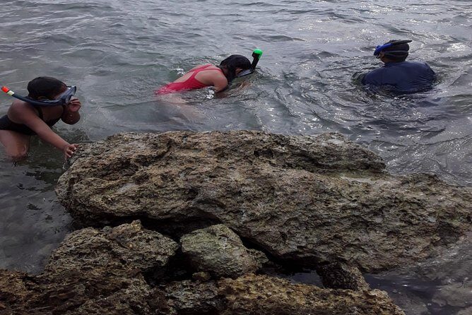 Half Island West side history/ snorkel tour - A Genuine Look at What the Tour Offers