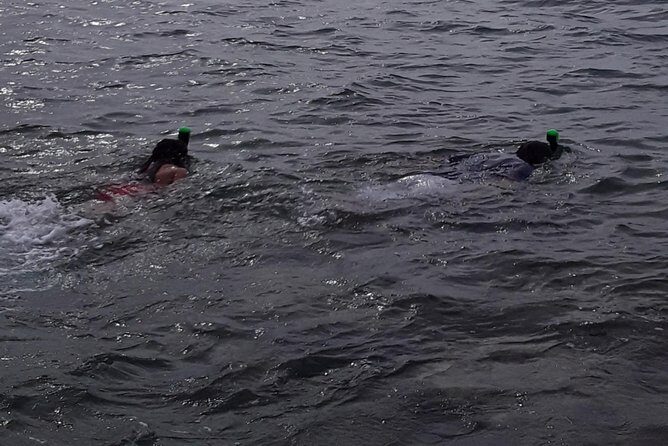 Half Island West side history/ snorkel tour - FAQ