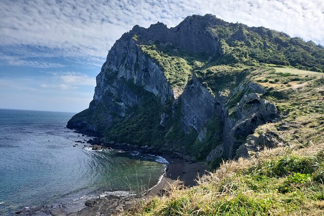 Half or Day Tour For Cruise customers arriving at Jeju City Port - What Makes This Tour Stand Out