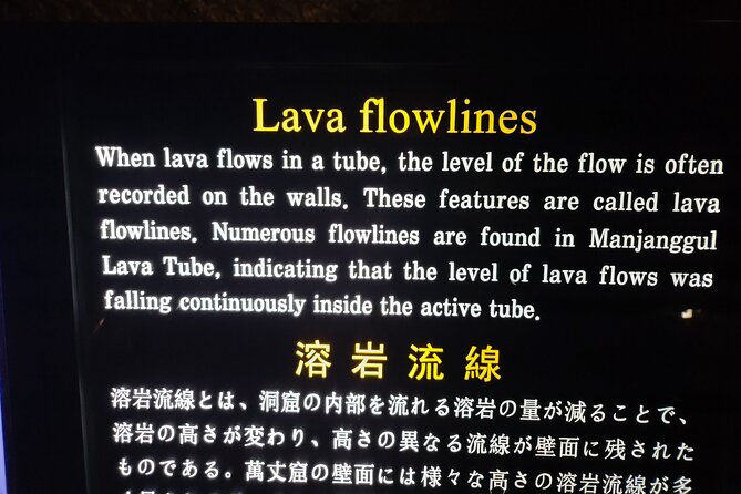 Half or Day Tour For Cruise customers arriving at Jeju City Port - Who Should Consider This Tour?