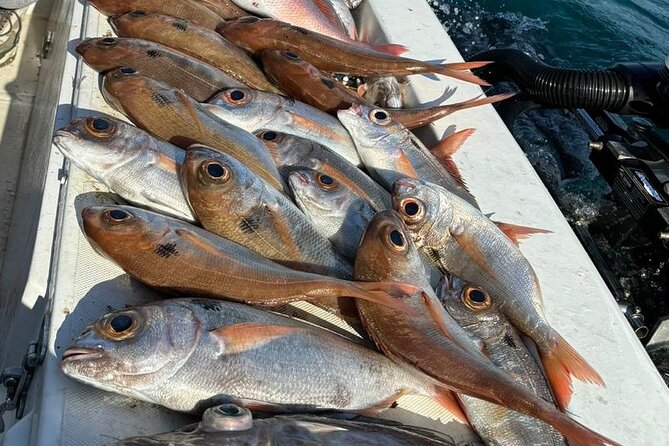 Half-seabed or rod fishing tour with bolentino - Who Will Love This Tour?