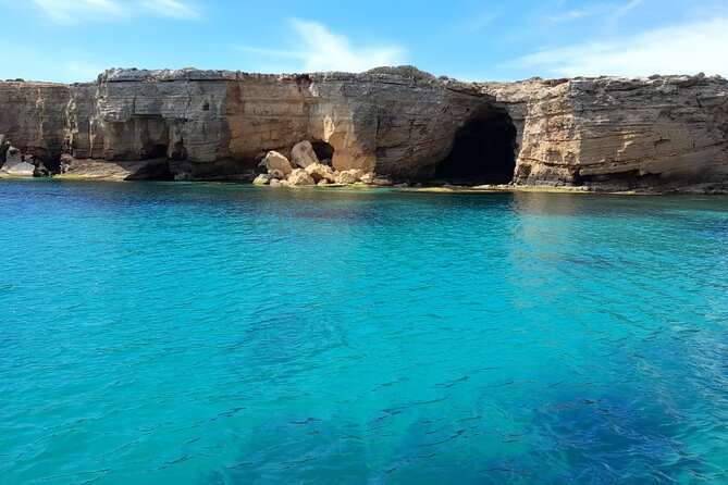 Half-seabed or rod fishing tour with bolentino - The Sum Up: Is This Trip Worth It?