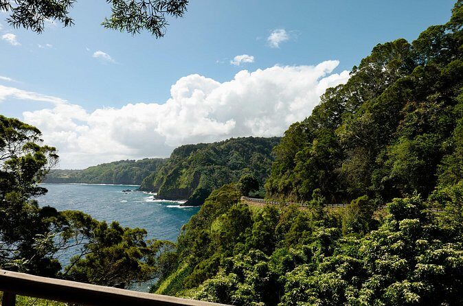 Half way to Hana Maui Open Air Jeep Private Tour - What’s Included and What’s Not