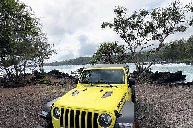Half way to Hana Maui Open Air Jeep Private Tour - Who Is This Tour Best For?