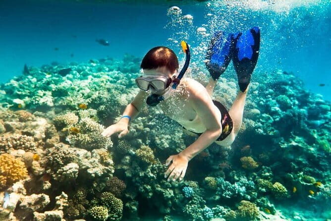 Halfday My Son Sanctuary Guided Tour with Boat Trip - What Travelers Love About This Tour