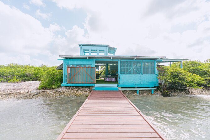 HalfDay Private Snorkel & Mangrove Experience  Local Host - Key Points