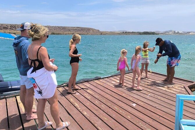 HalfDay Private Snorkel & Mangrove Experience  Local Host - A Closer Look at the Tour Itinerary