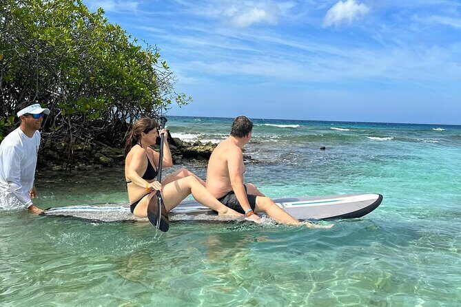 HalfDay Private Snorkel & Mangrove Experience  Local Host - Authenticity and Guest Feedback