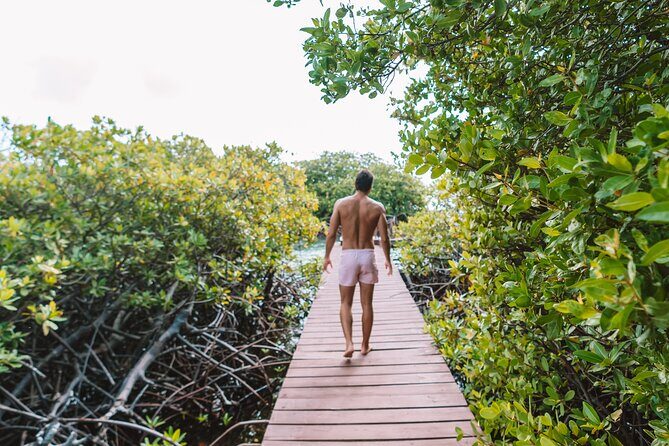 HalfDay Private Snorkel & Mangrove Experience  Local Host - Final Thoughts: Is This Tour Right for You?
