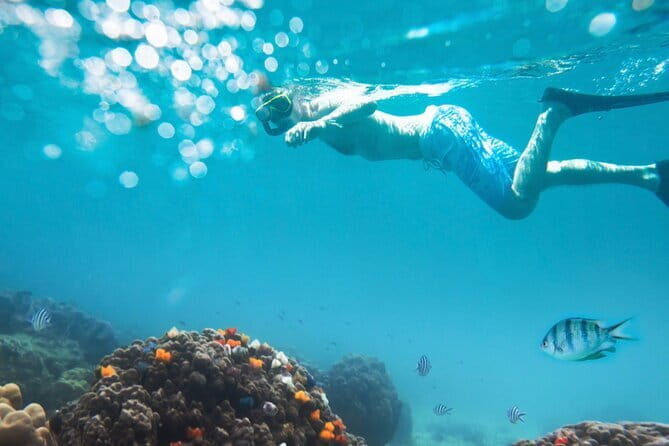 Halfday Snorkeling and Scuba Diving Experience from Nha Trang - A Deep Dive into the Experience