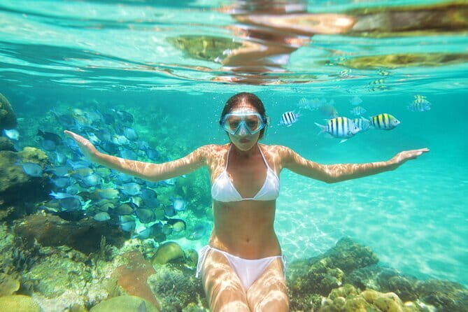 Halfday Snorkeling and Scuba Diving Experience from Nha Trang - The Practical Side: Logistics and Tips